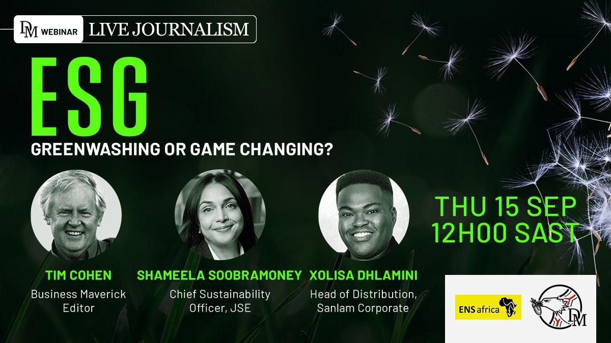 Daily Maverick on Twitter: "What is ESG investing, why is it important, who has been caught out ...