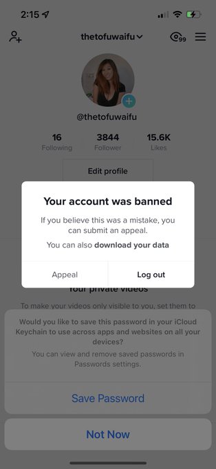 TW Pornstars - 🤍 Uwu Tofu 🤍. The latest pictures and videos from ...