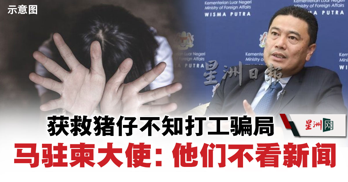 Sin Chew Daily 星洲日報 On Twitter 张韦瑜独家报道 获救者当中大部分是来自有问题家庭或家庭经济欠佳,他们大