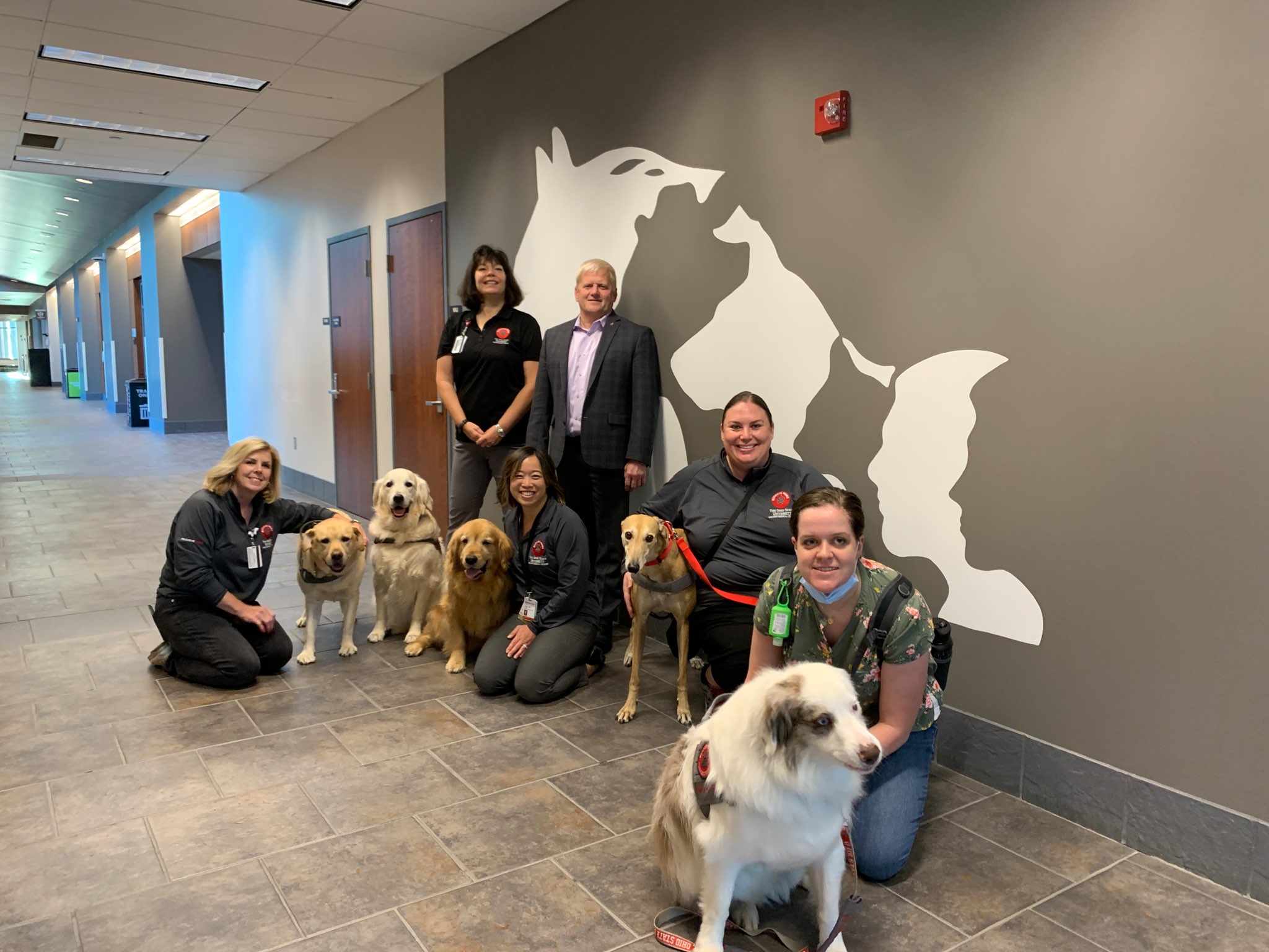 Paws-itive Fun in the Buckeye State: 9 Dog-Friendly Ohio State Parks