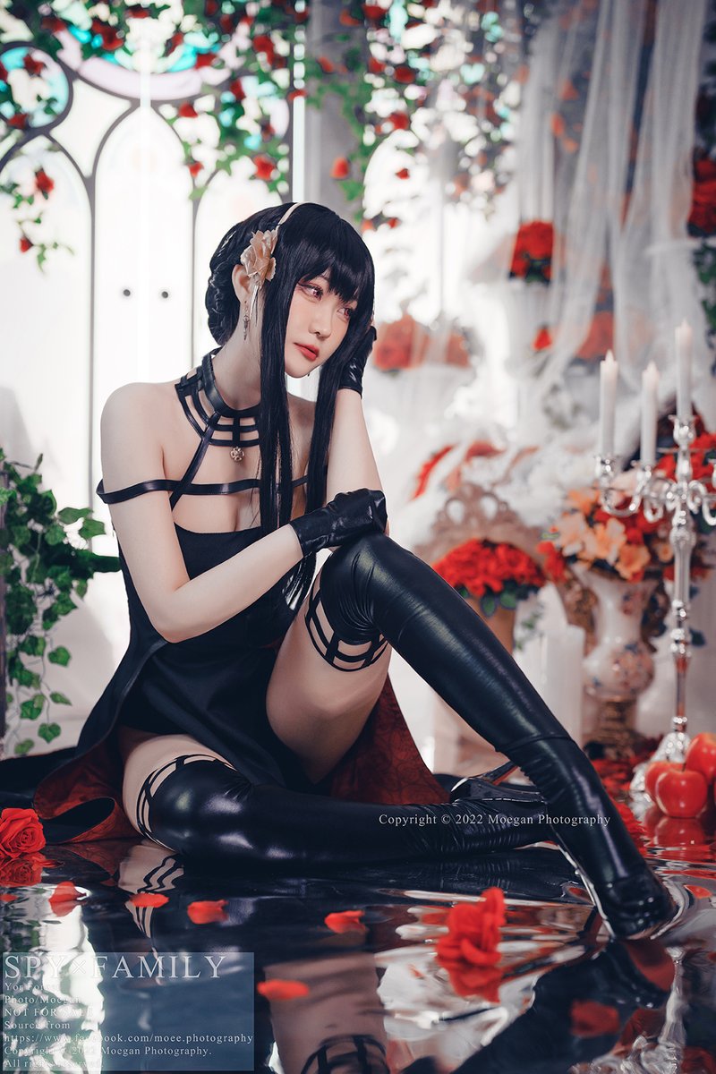 Moegan Photography on Twitter: "SPY×FAMILY - Yor Forger CN/ 狐川_Kitsunekawa Photo by Moegan ...