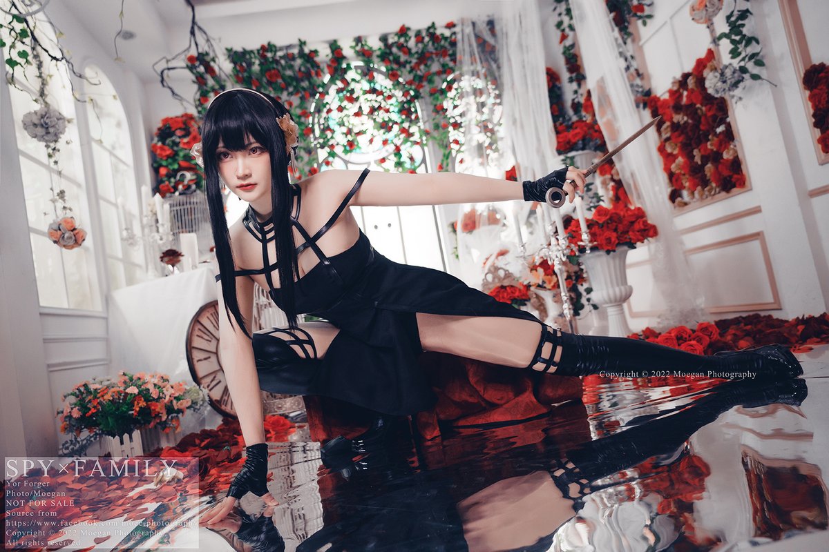 Moegan Photography on Twitter: "SPY×FAMILY - Yor Forger CN/ 狐川_Kitsunekawa Photo by Moegan ...