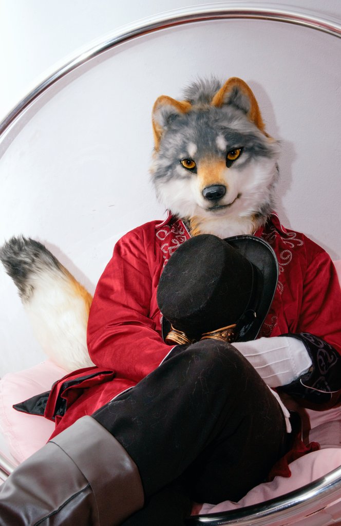 Realistic Wolf Fursuit A Male Wolf Fursuit He Has A Strong Face And Is