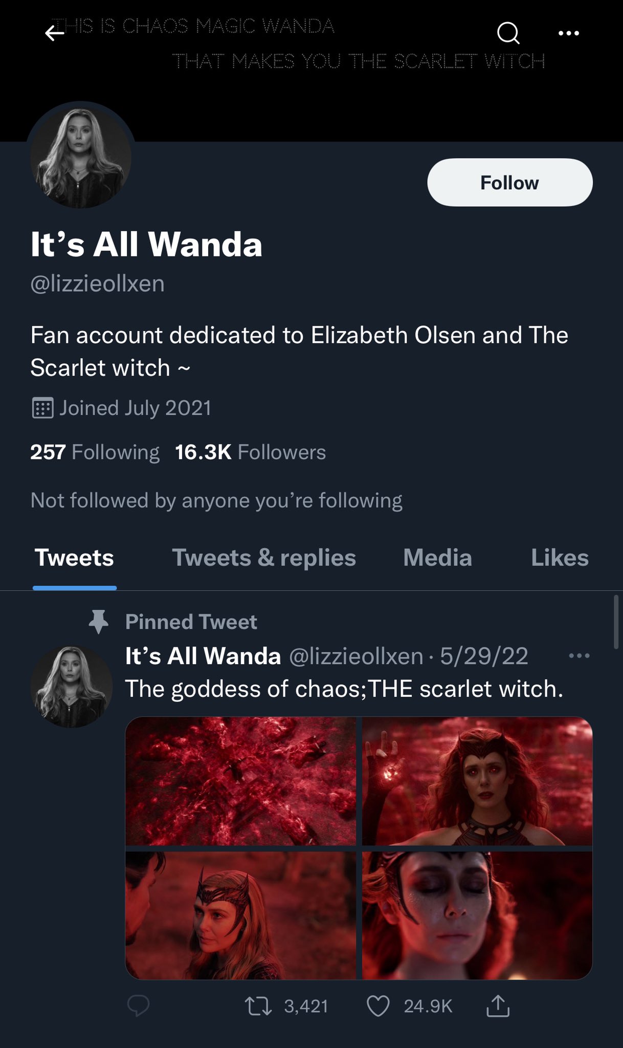 Ibrahim👾💀 on Twitter: "@lizzieollxen @ShadowKnightPK “Stop using her name for clout” https://t ...