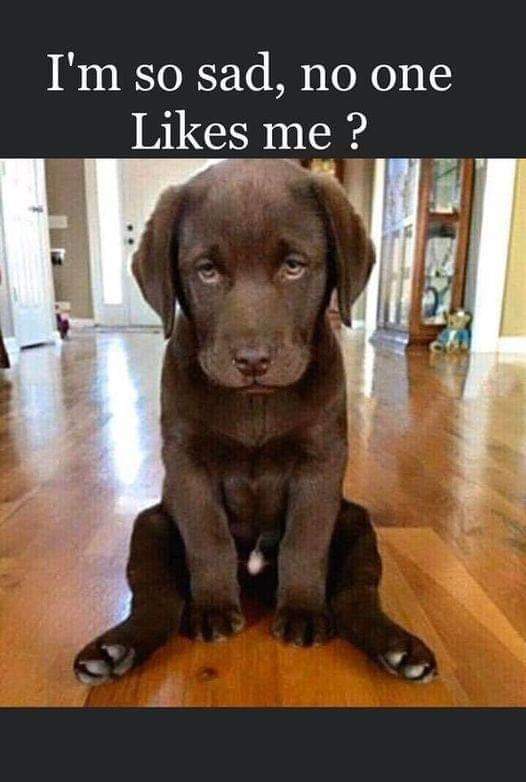 No One Likes Me Meme