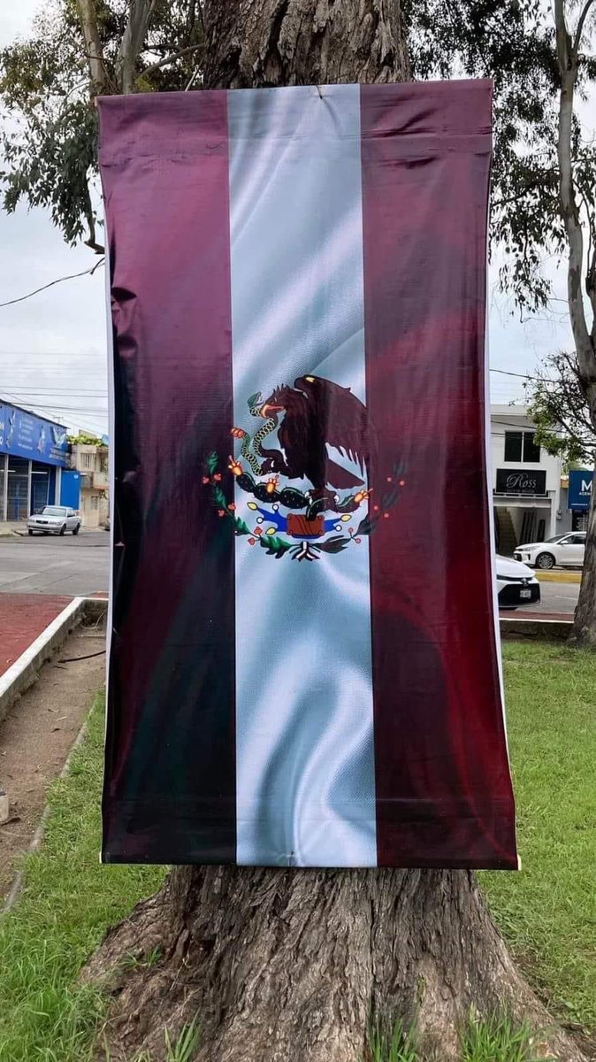 Mario Sotomayor On Twitter Rt Azucenau ¿ Quéopinan Con Banderas