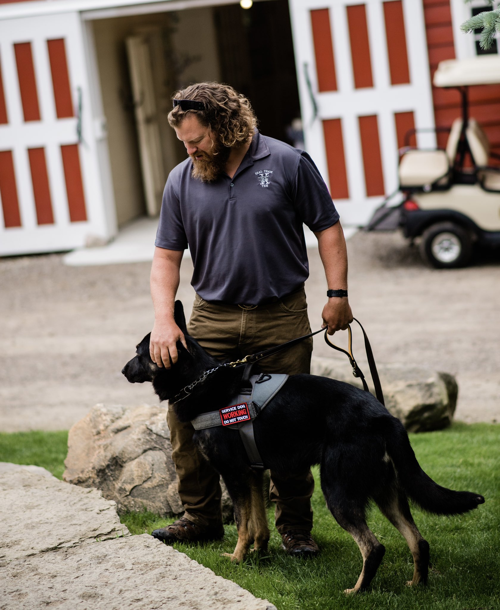 What Is Ipo Dog Training