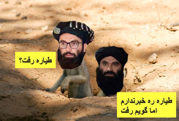 Feroz Rasikh on Twitter: Feroz Rasikh on Twitter: