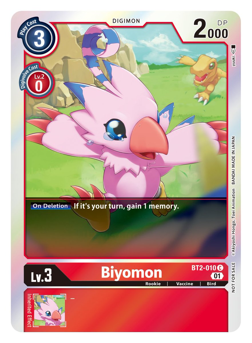 Biyomon And Hawkmon