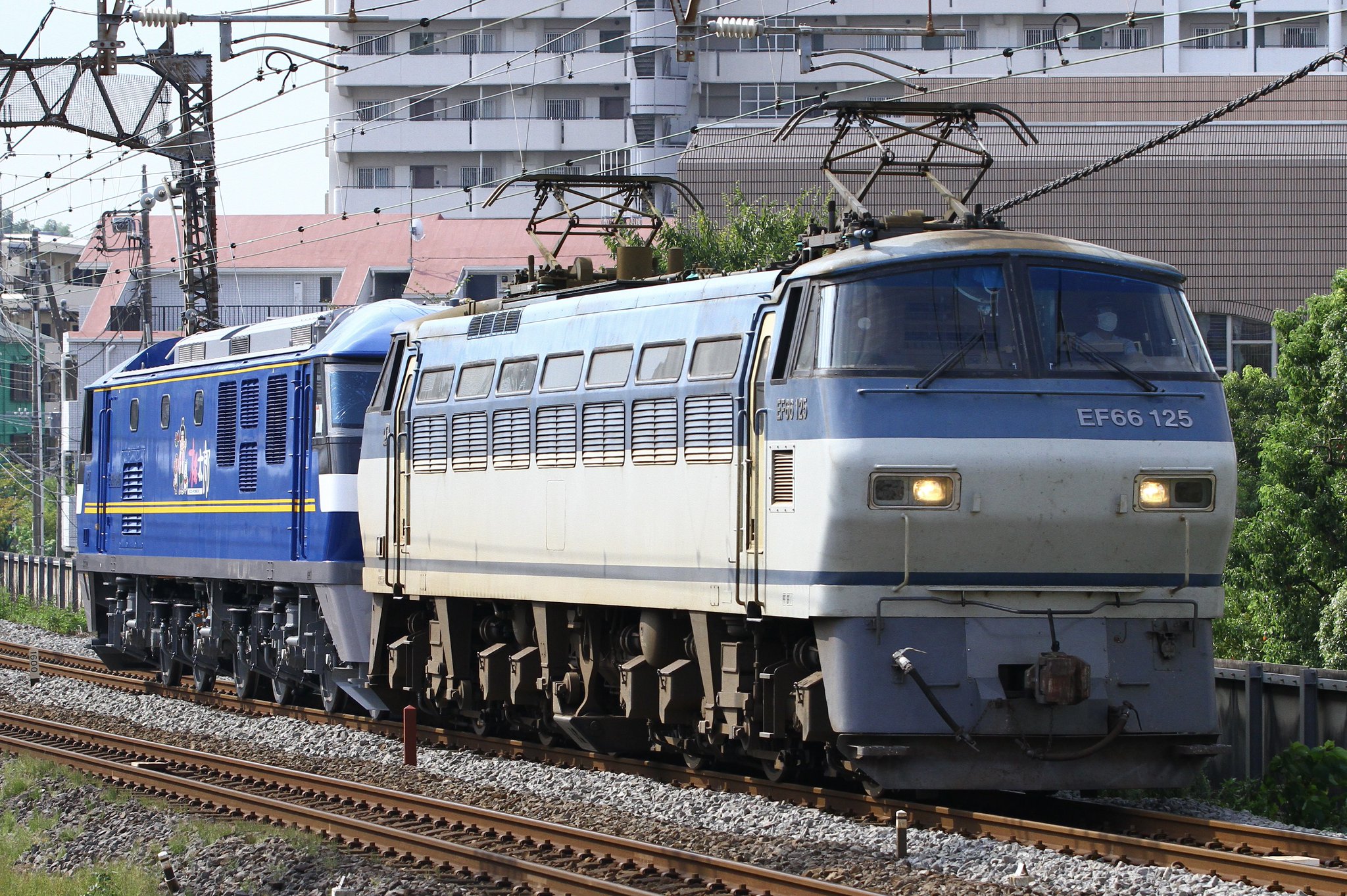 はまろく on Twitter: "2022/9/14 8860レ EF210 346甲種 EF66 125＋EF210 346 https://t.co/7twHjAqKNd" / Twitter