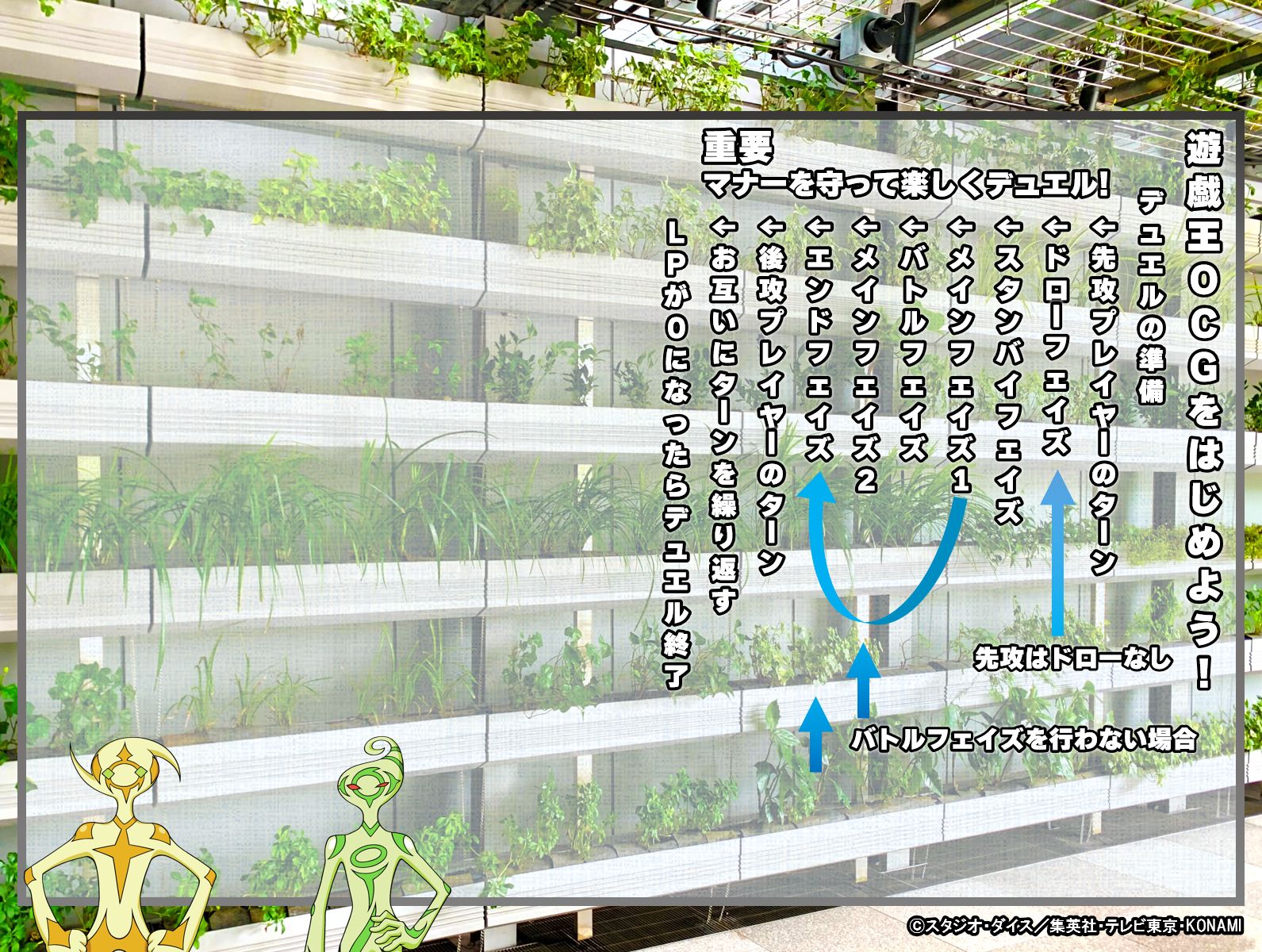 【公式】遊戯王OCG on Twitter: "🔰━━━━━━━━━━ 9月20日（火） 遊戯王OCG初心者の方 ━━━━━━━━━━⚡️🍃 遊戯王OCGをはじめたい方は こちらのページに ...