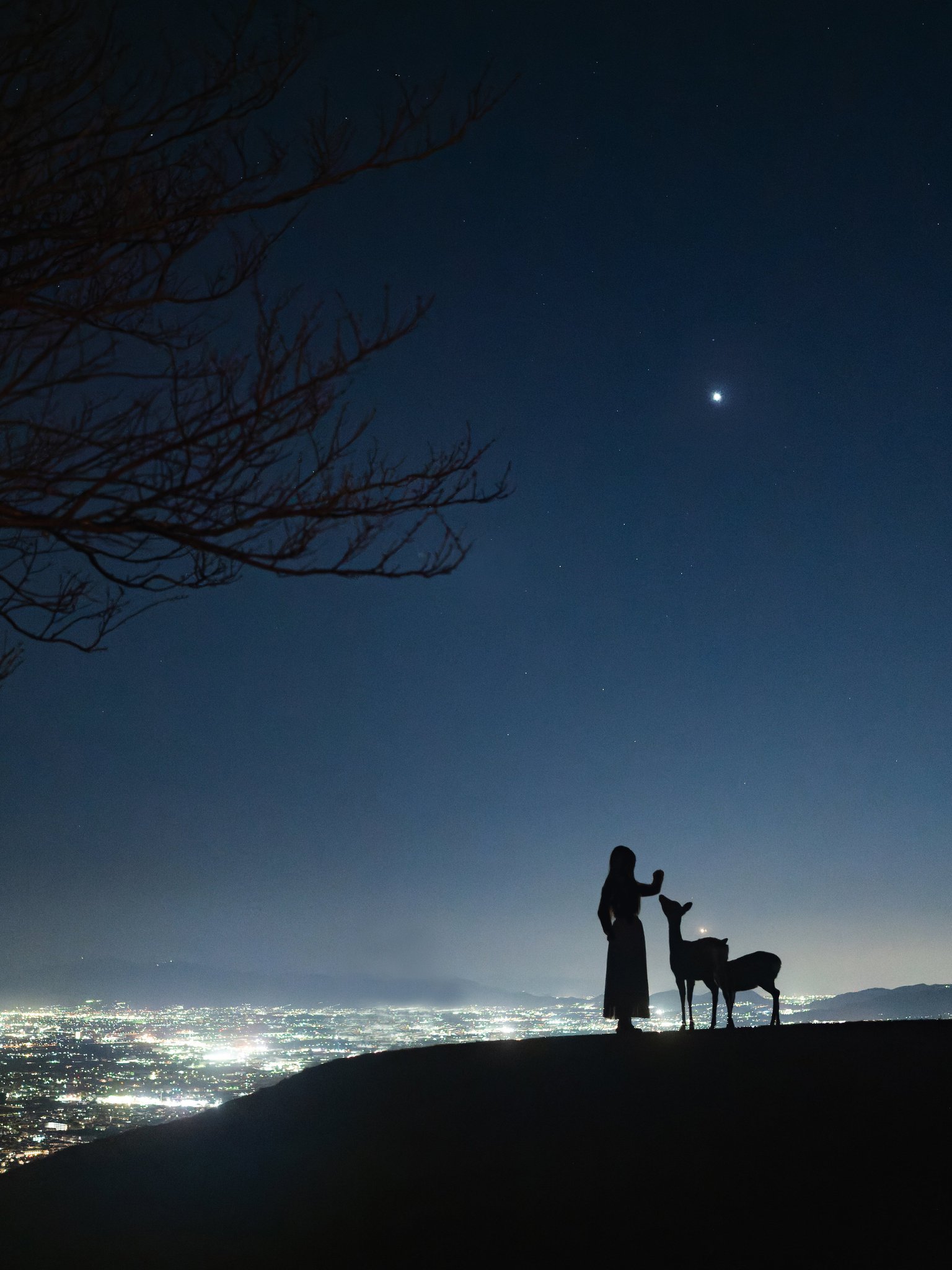 Ryota,F on Twitter: "RT @haruhara_kun: 夜鹿 https://t.co/rnH8sC9OS4" / Twitter