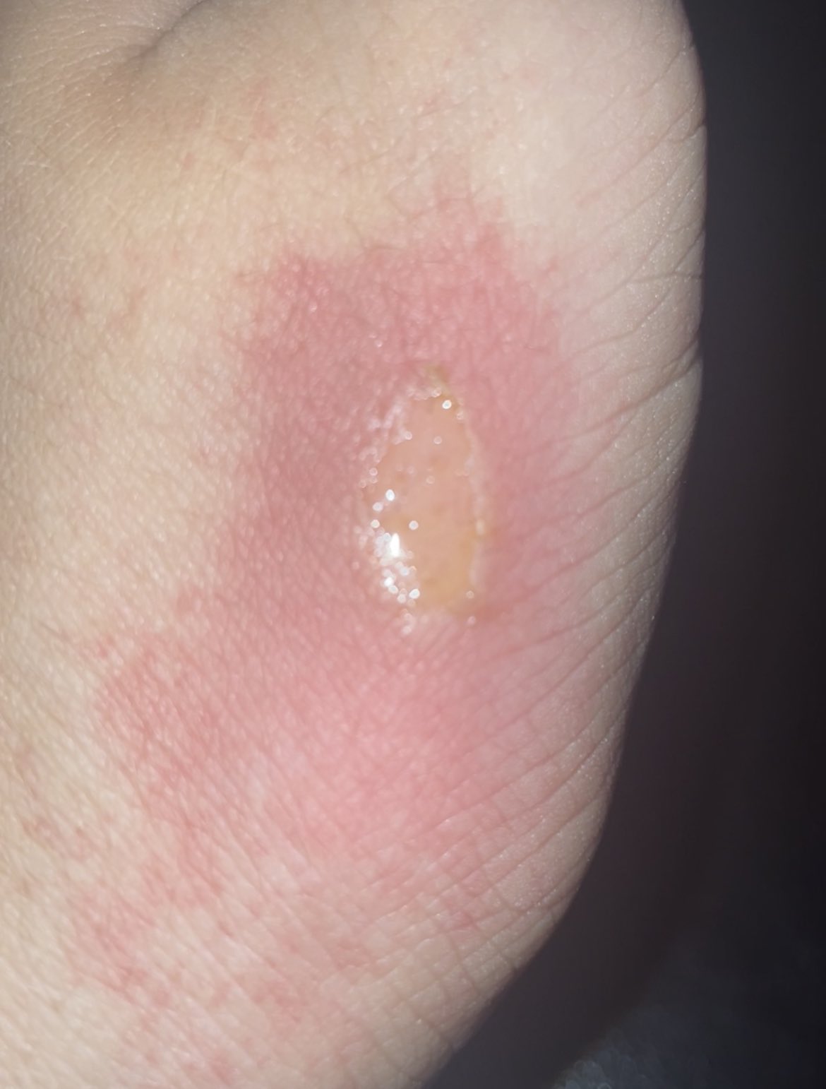 Julie Joestar (@salucjulie) / Twitter