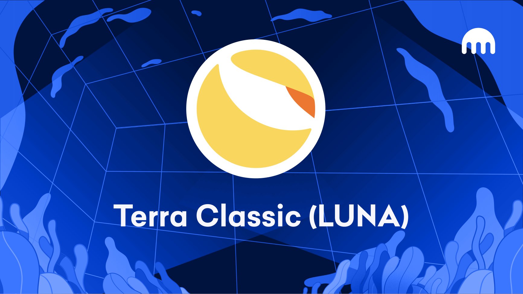 Kraken Exchange on Twitter: "ℹ️ Update regarding Terra Classic (LUNA) and TerraUSD Classic (UST ...