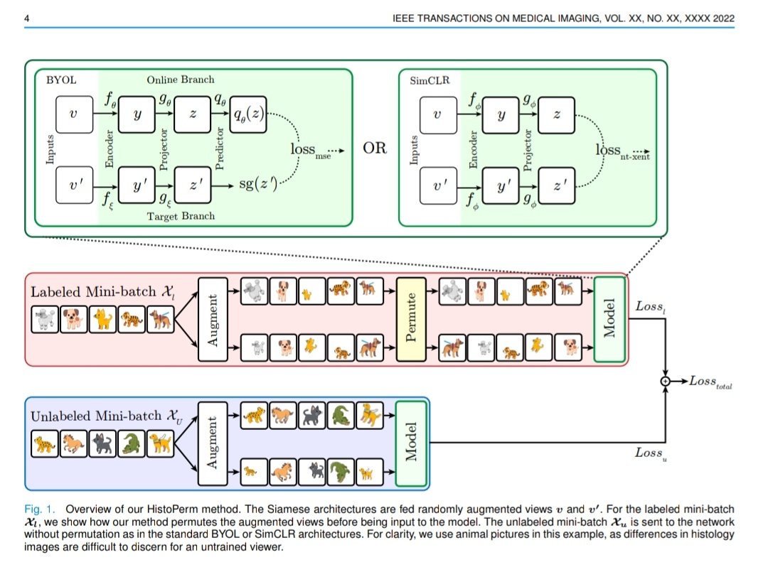 Kornia (@kornia_foss) / Twitter