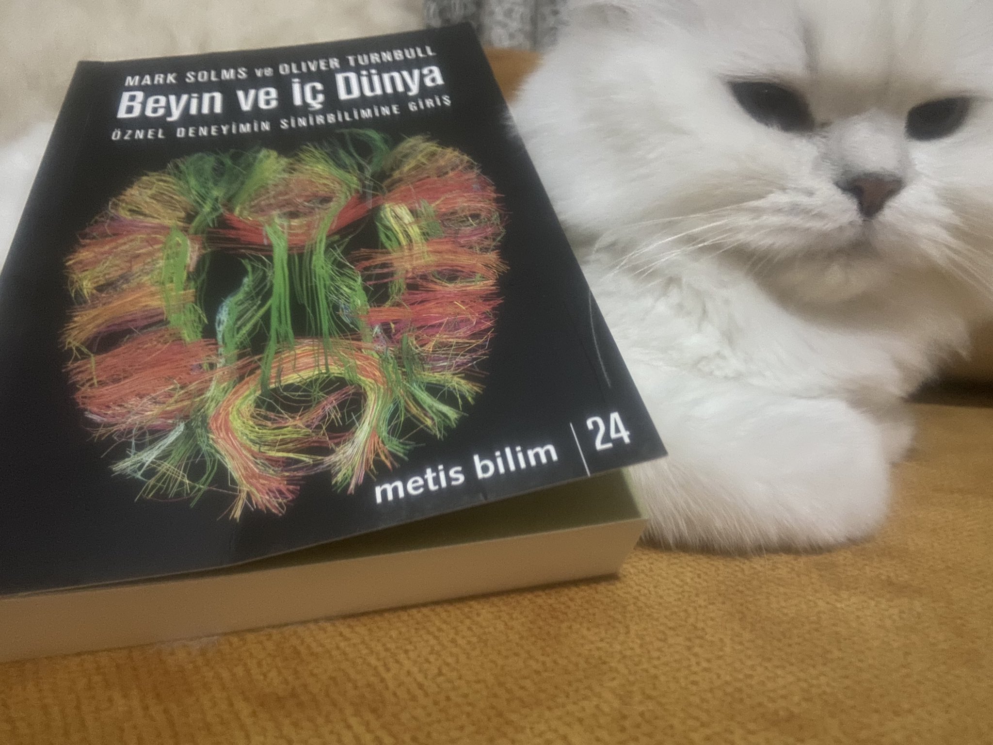 Mehtap Doğan on Twitter: "Nörobilim ve öznelliğin bir araya geldiği her kitap beni ...