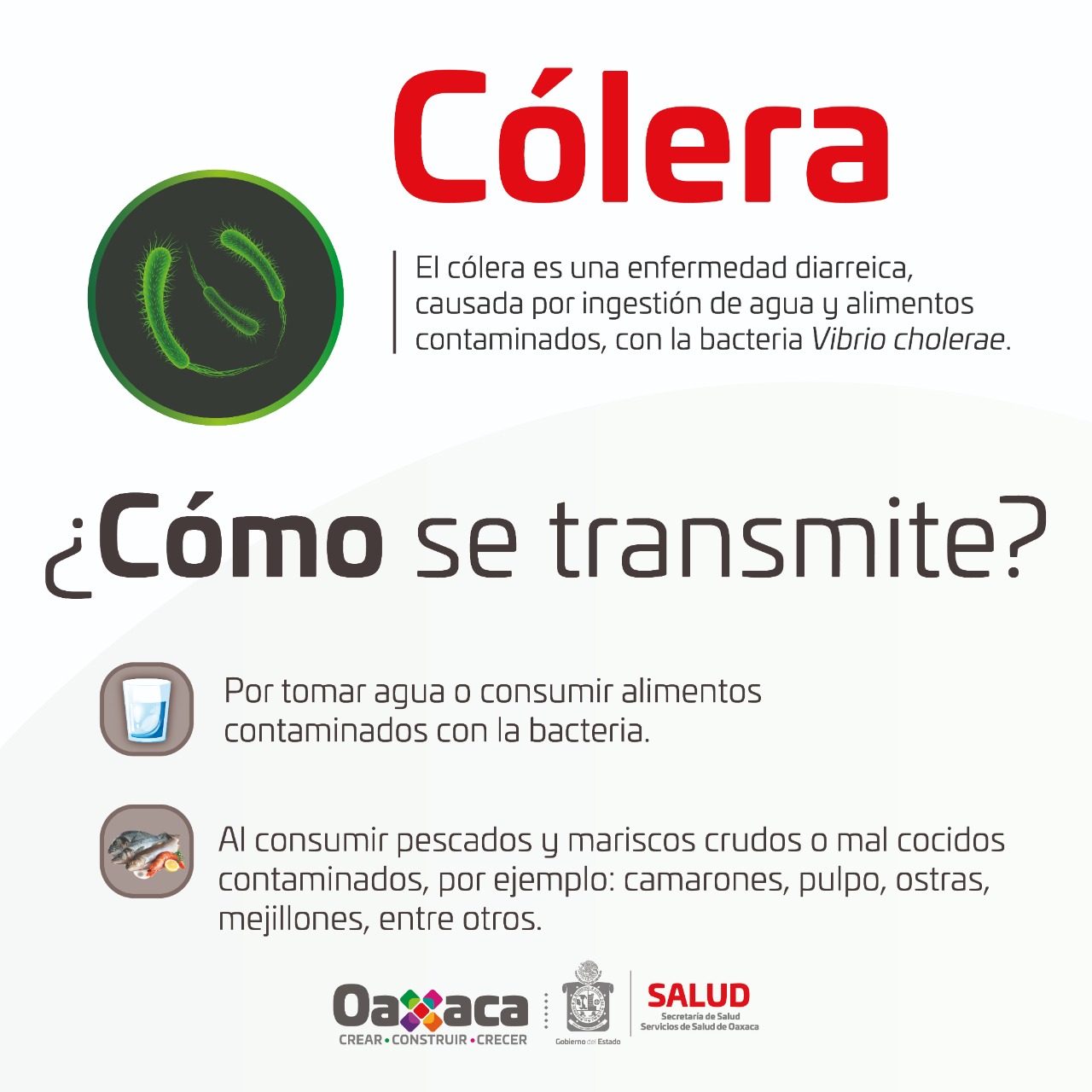 Enfermedad Del Cólera