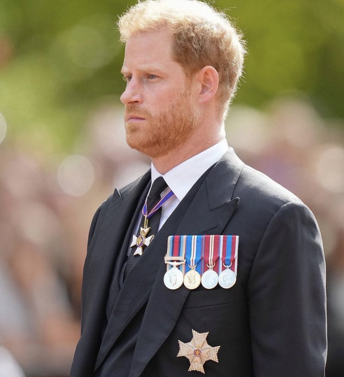 QueenCity🕊🥰🍋🐊🧇 on Twitter: "#PrinceHarry 💔"
