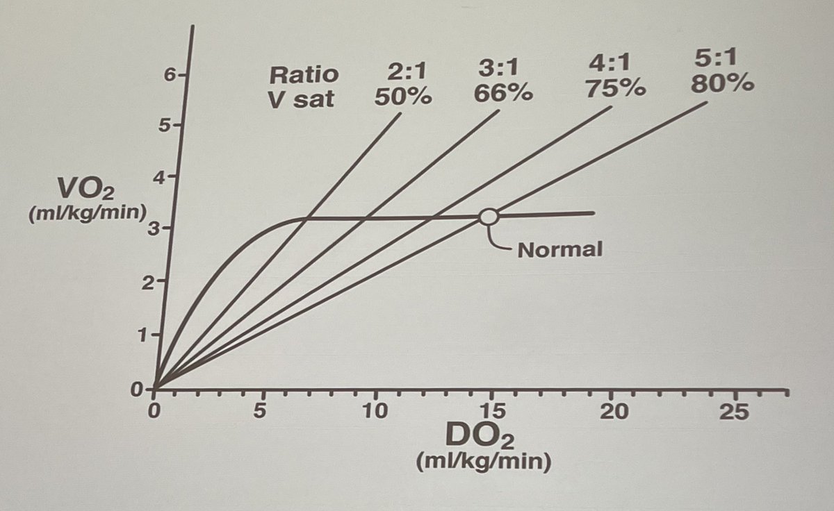M Velia Antonini on Twitter: "Back to the basics: pathophysiology of O2 kinetics with @ECMO_Bob ...