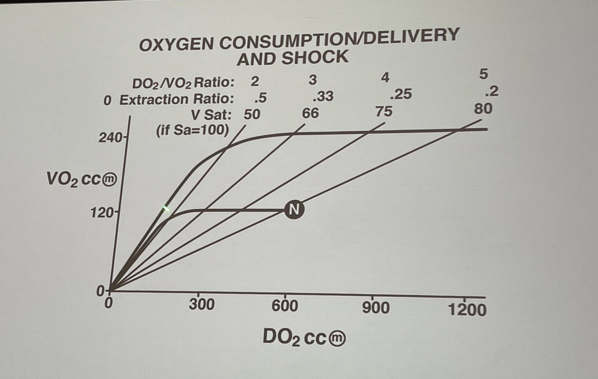 M Velia Antonini on Twitter: "Back to the basics: pathophysiology of O2 kinetics with @ECMO_Bob ...
