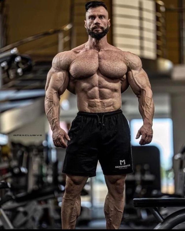 Peter Molnar Bodybuilder 2022