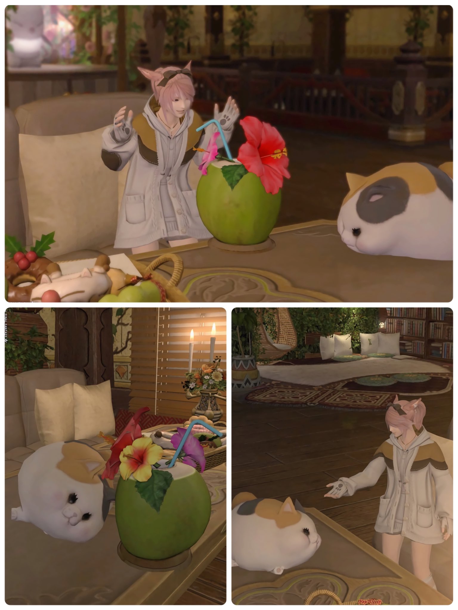 ♱⋰Phoenix༄ on Twitter: "朝ご飯はココナッツジュースとドーナツ〜♪ #FF14 #FF14キャラ入り風景SSの会 https://t.co/5Xzee2SROw ...