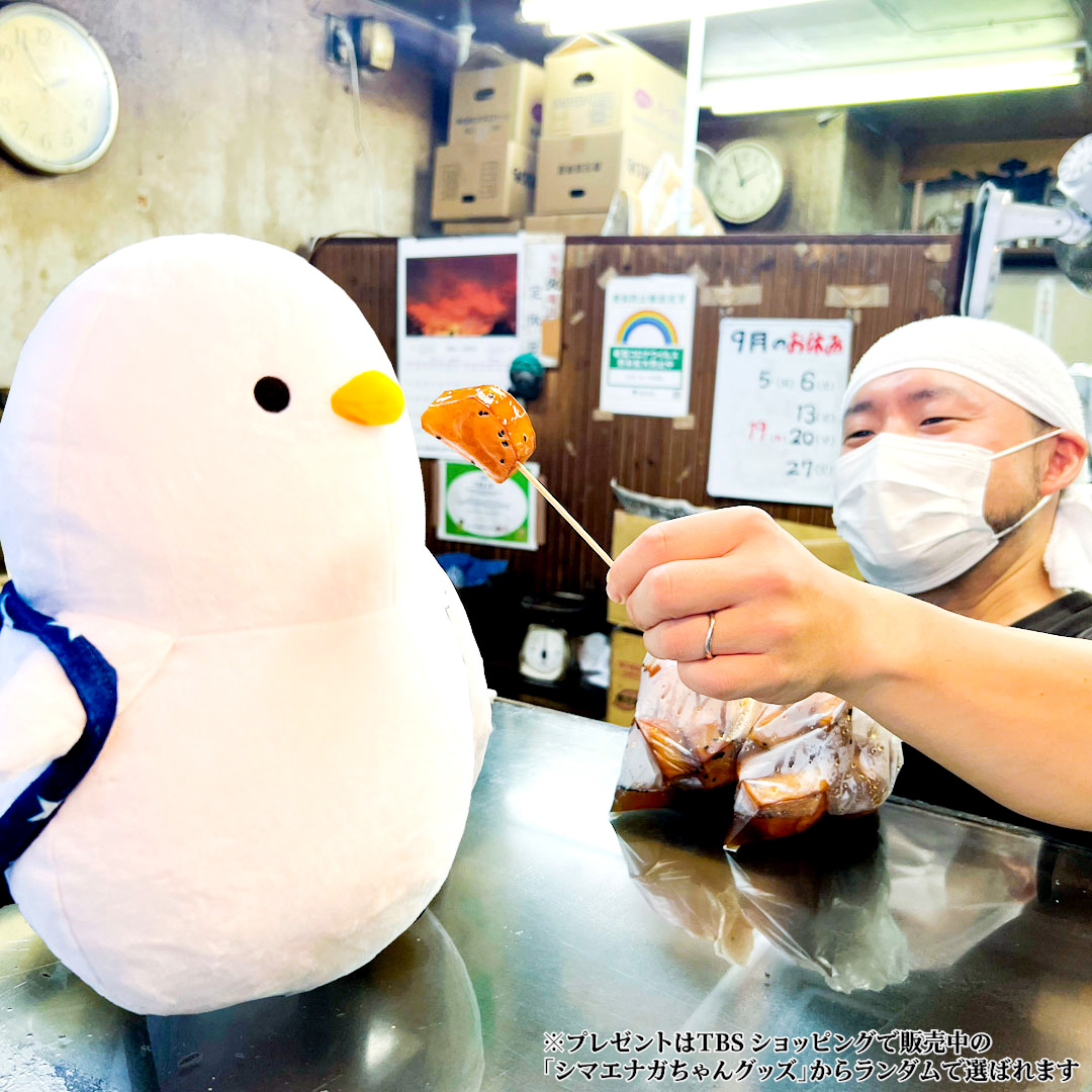 TBS『THE TIME, 』 on Twitter: ". ／ 🐥関心があったニュースを教えてね〜！ \ ⏳前日ごご7時〜9時限定⏳ 番組公式LINEで アンケートに答えると 🐥シマエナガ ...