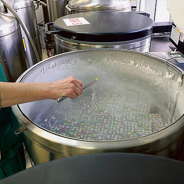 ynet עדכוני on Twitter: "המחדל במכון ההפריה: "העבודה שם חובבנית, זו קטסטרופה" https://t.co ...