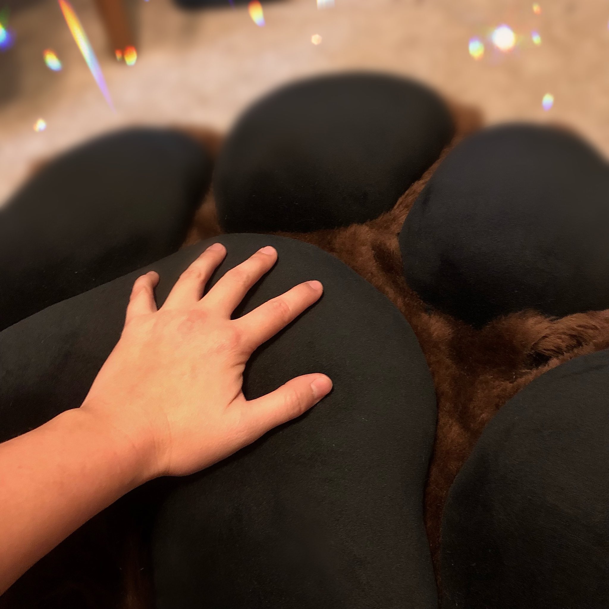 Maple🆖 on Twitter: "Who likes black beans? https://t.co/UyomGtxBN4" / Twitter