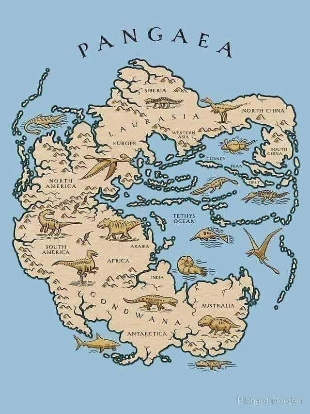Enséñame de Ciencia on Twitter: "Mapa del supercontinente Pangea. Se estima que Pangea se formó ...