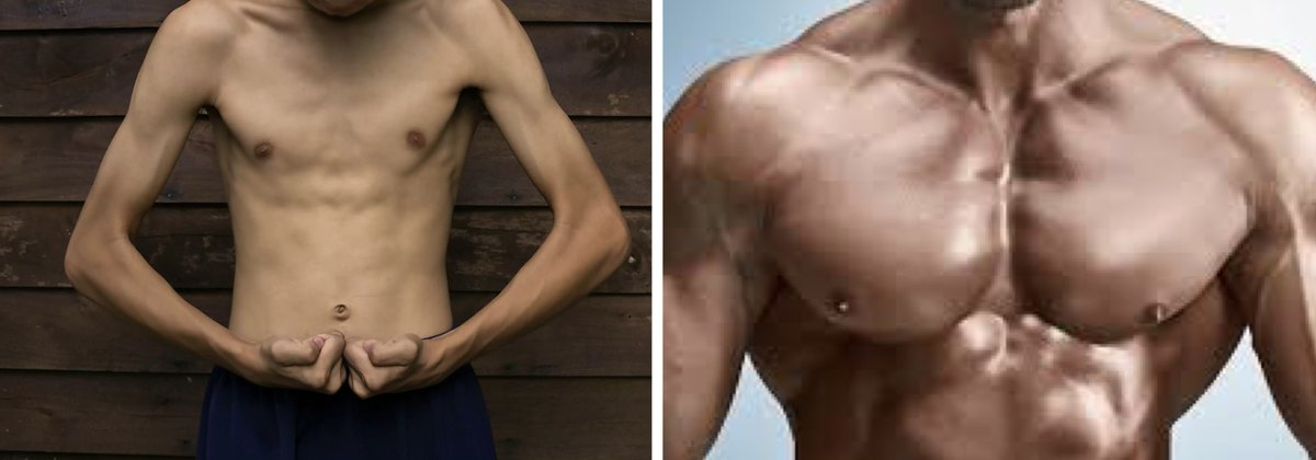 The 6 BEST Exercises Guaranteed To Take You From Bird Chest To Barrel ...