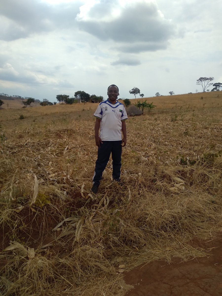 Tuendelee,picha zote ni kutoka shambani kwangu na shambani kwa ...