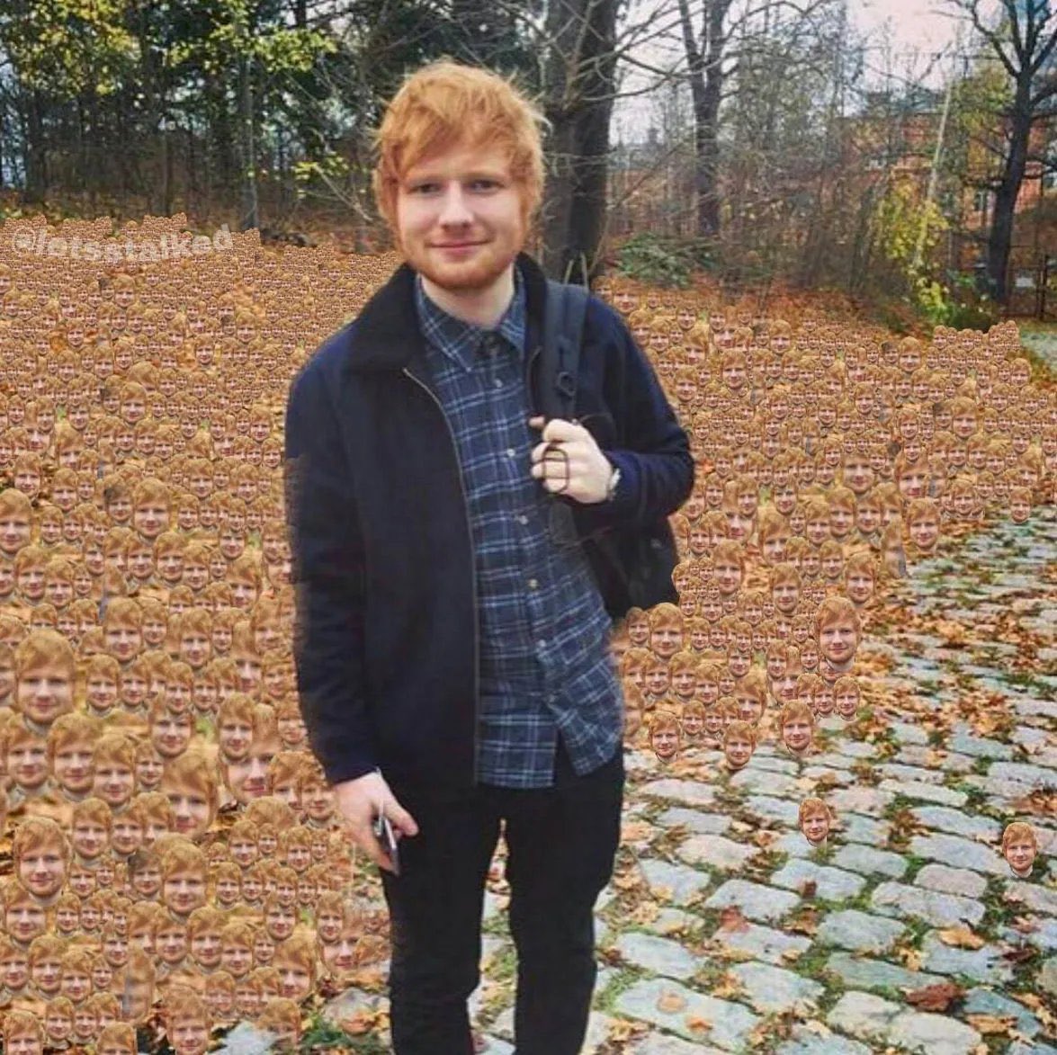 Autumn Leaves Tumblr Ed Sheeran