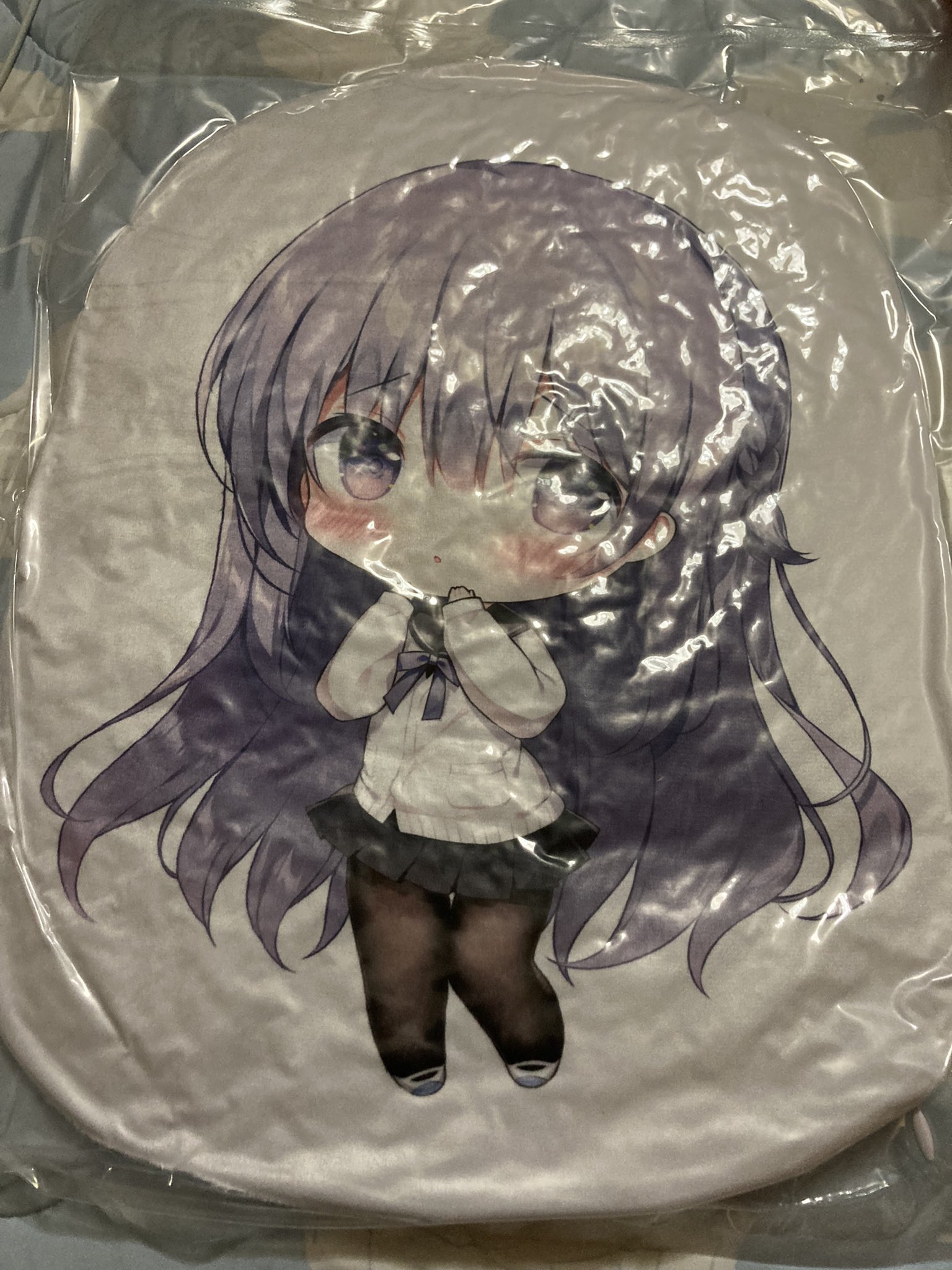 癒しを求めるだけ on Twitter: "ひさぎ先生(@hisagi_02 )ところのミニクッションと等身大タペストリー届いてました！デカ過ぎんだろ、、、(ドアに飾ろうと思ったらドアより ...