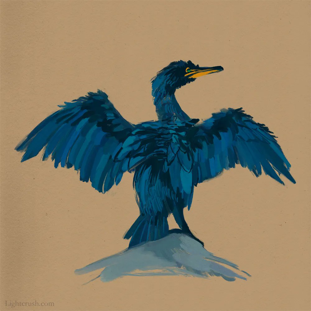 「Bird 37 #dailyfeathers 」|Jenna Vincentのイラスト