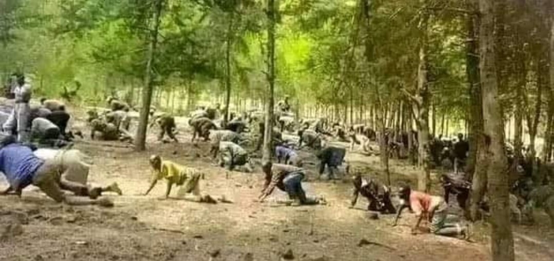 Dej-Azmach|ደጅ-አዝማች 🦁🦅 on Twitter: "1/ [Update Sept. 15/22] Photographs 📸 show Amhara residents ...