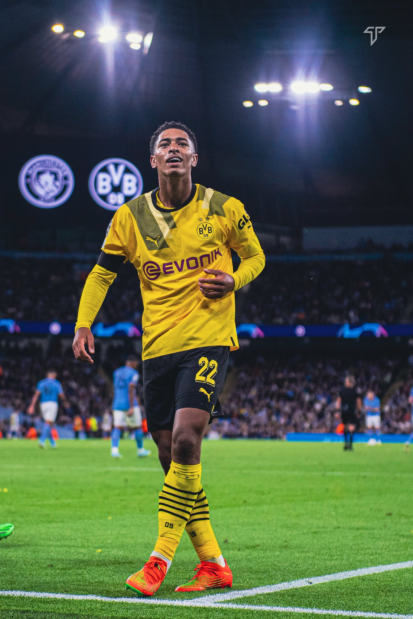 Tadic . on Twitter: "Sir, you dropped this 👑 https://t.co/k2yWsfk98D" / Twitter