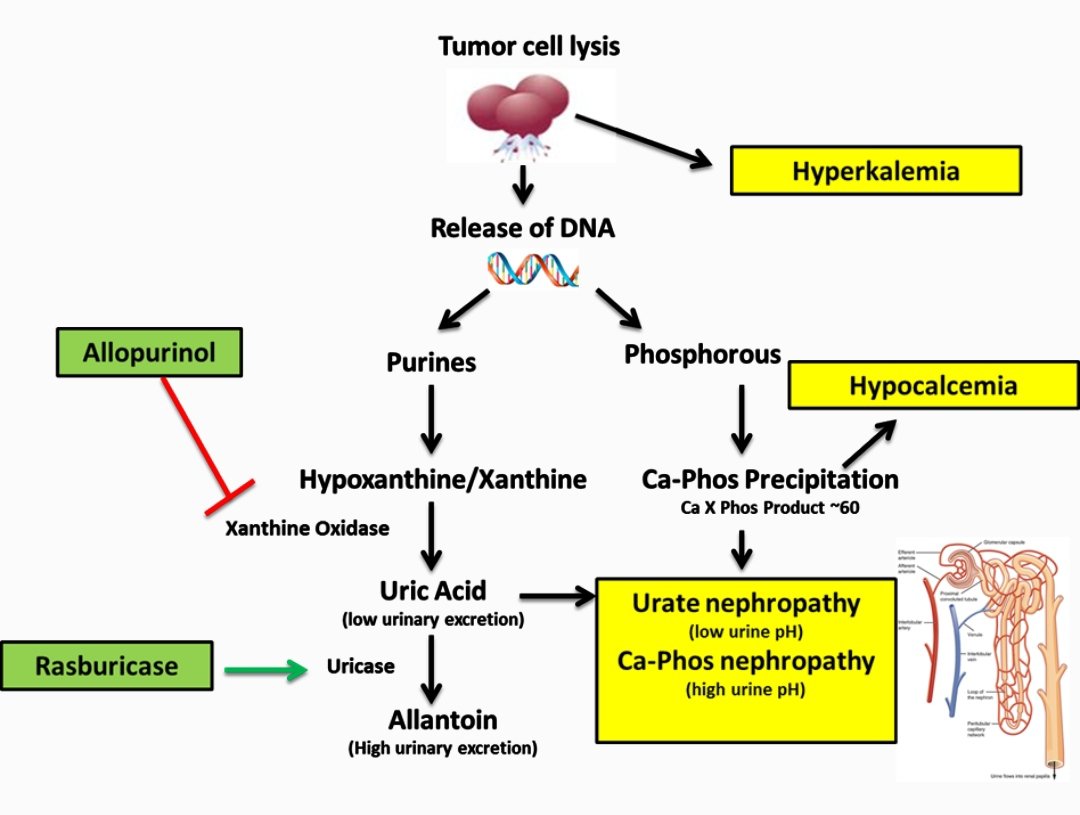 Hyperphosphatemia Mnemonic