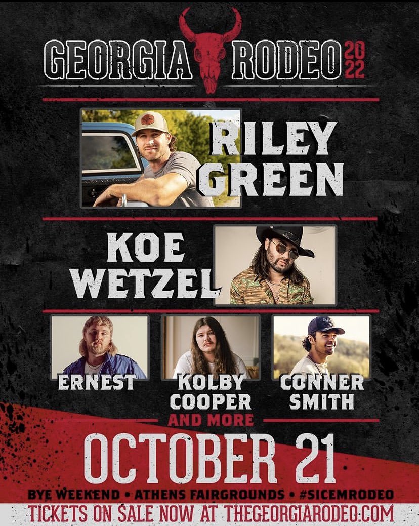 Sofia Carbone (@sofiaicarbone) / Twitter