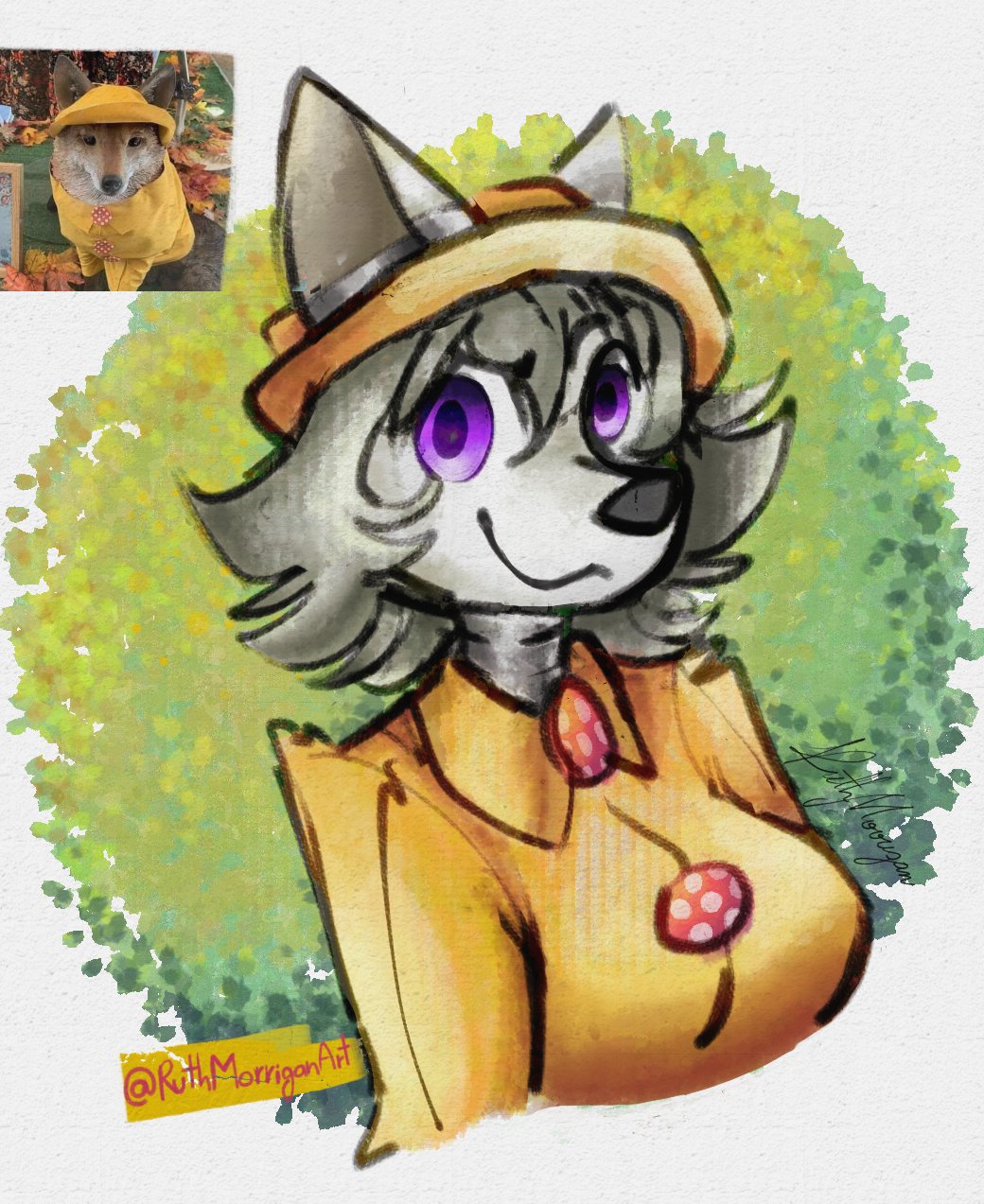 Bread Bite on Twitter: "naughty fox @10Ne_V https://t.co/PHa6W8o6lu" / Twitter