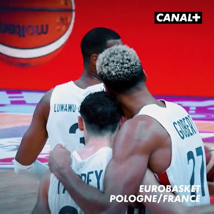 CANAL+ on Twitter: "Quelle belle journée pour emmener les Bleus en finale 🇫🇷💪 Pologne/France ...