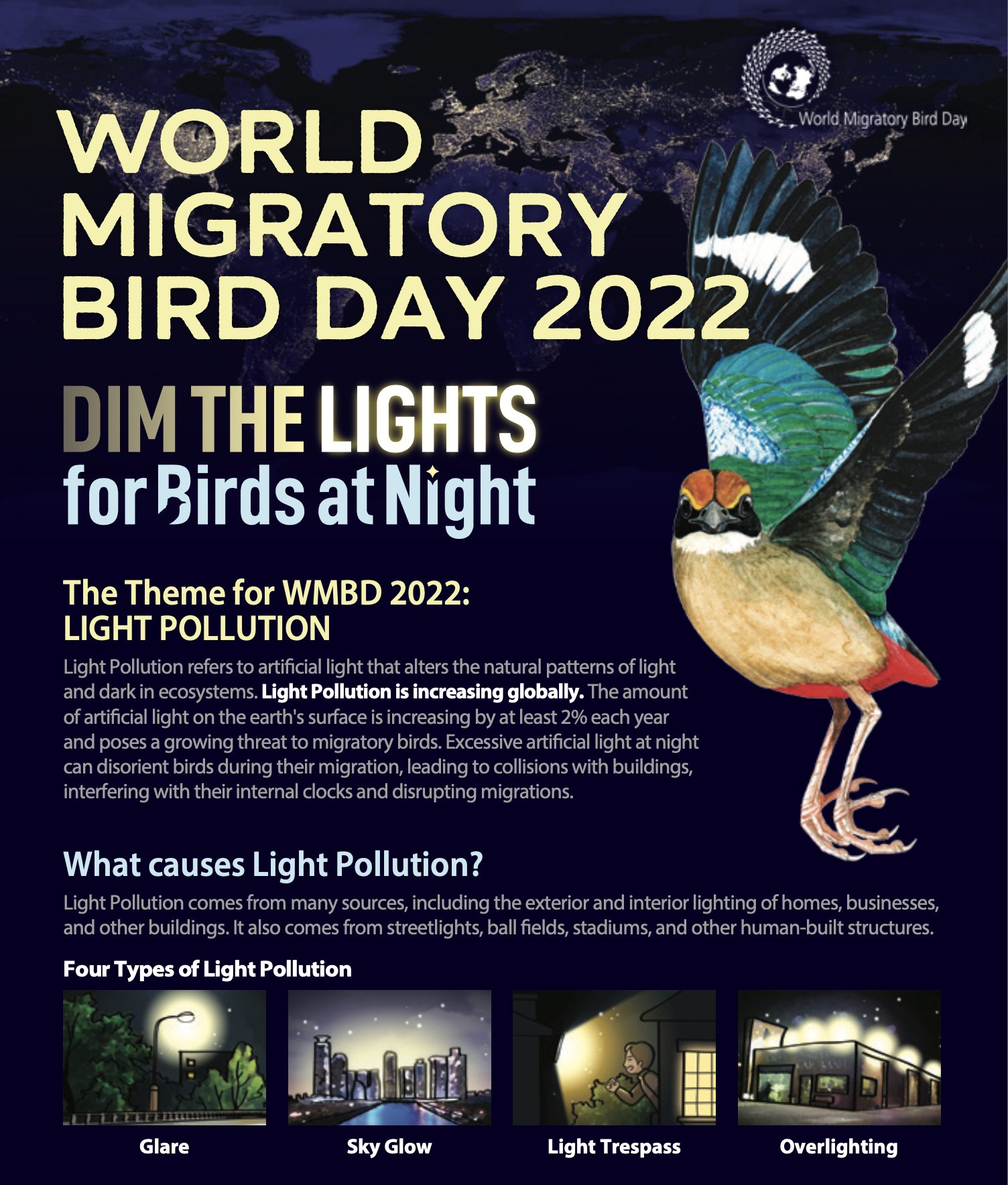 Effects Of Light Pollution On Wildlife BBC Nature UK: Light
