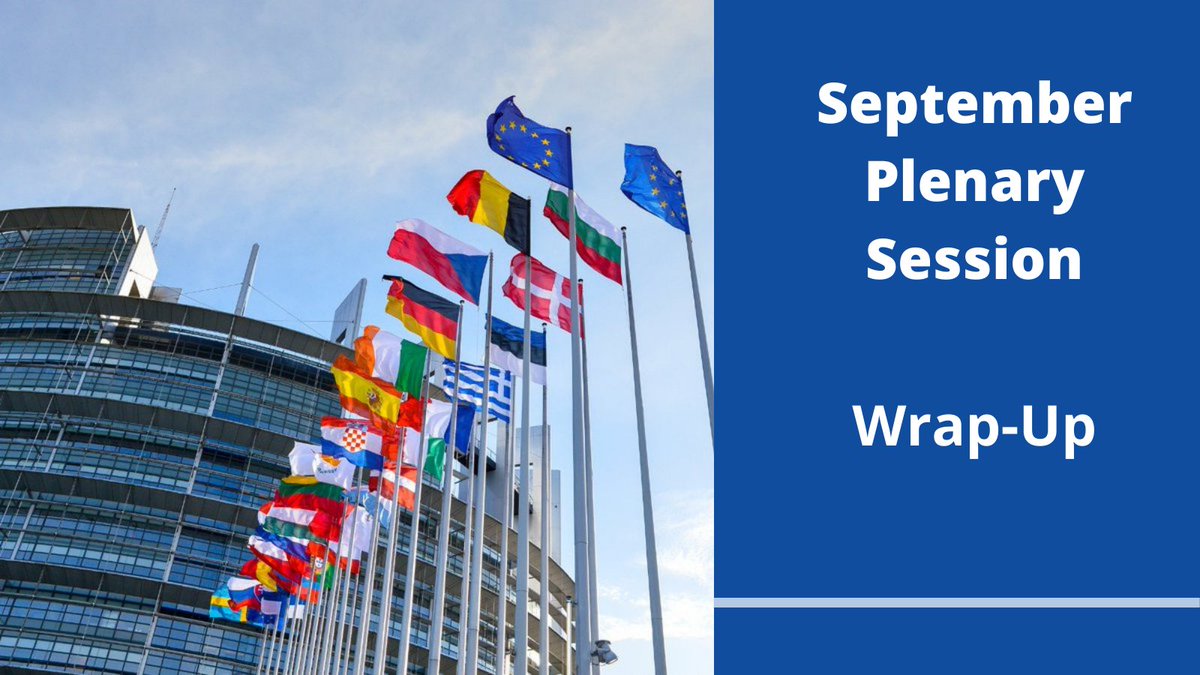September Plenary session Wrap-up / Twitter