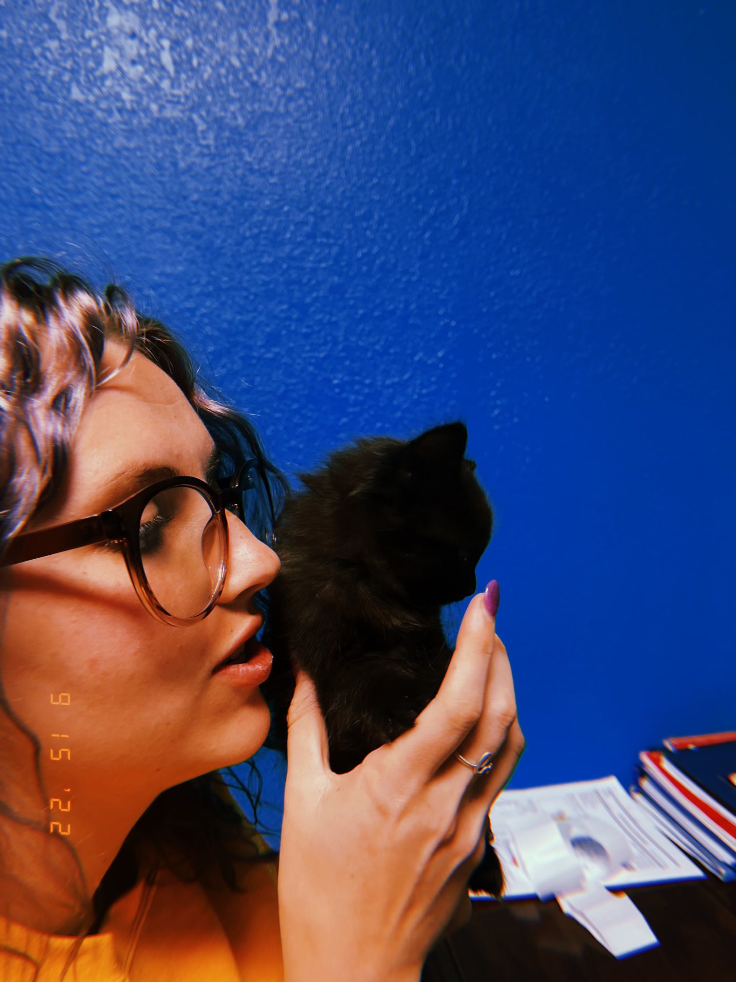 london rae on Twitter: "introducing willow 🖤 https://t.co/oEM87vyFvJ" / Twitter