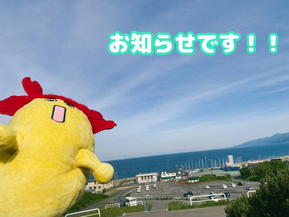 めぐ@メモ用 On Twitter Rt Txyukikani / お知らせ📢 このタイミングですみません! 明日917土1130〜放送の 「ほほおちごはん」の