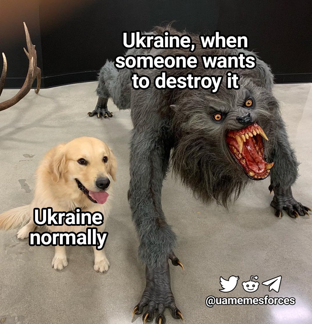 Ukrainian Memes Forces on Twitter: "https://t.co/VPZVUBvqJn" / Twitter