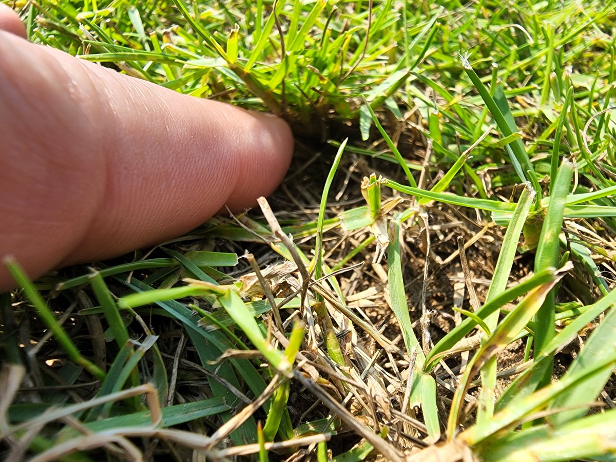 POGO – POGO Turf Pro