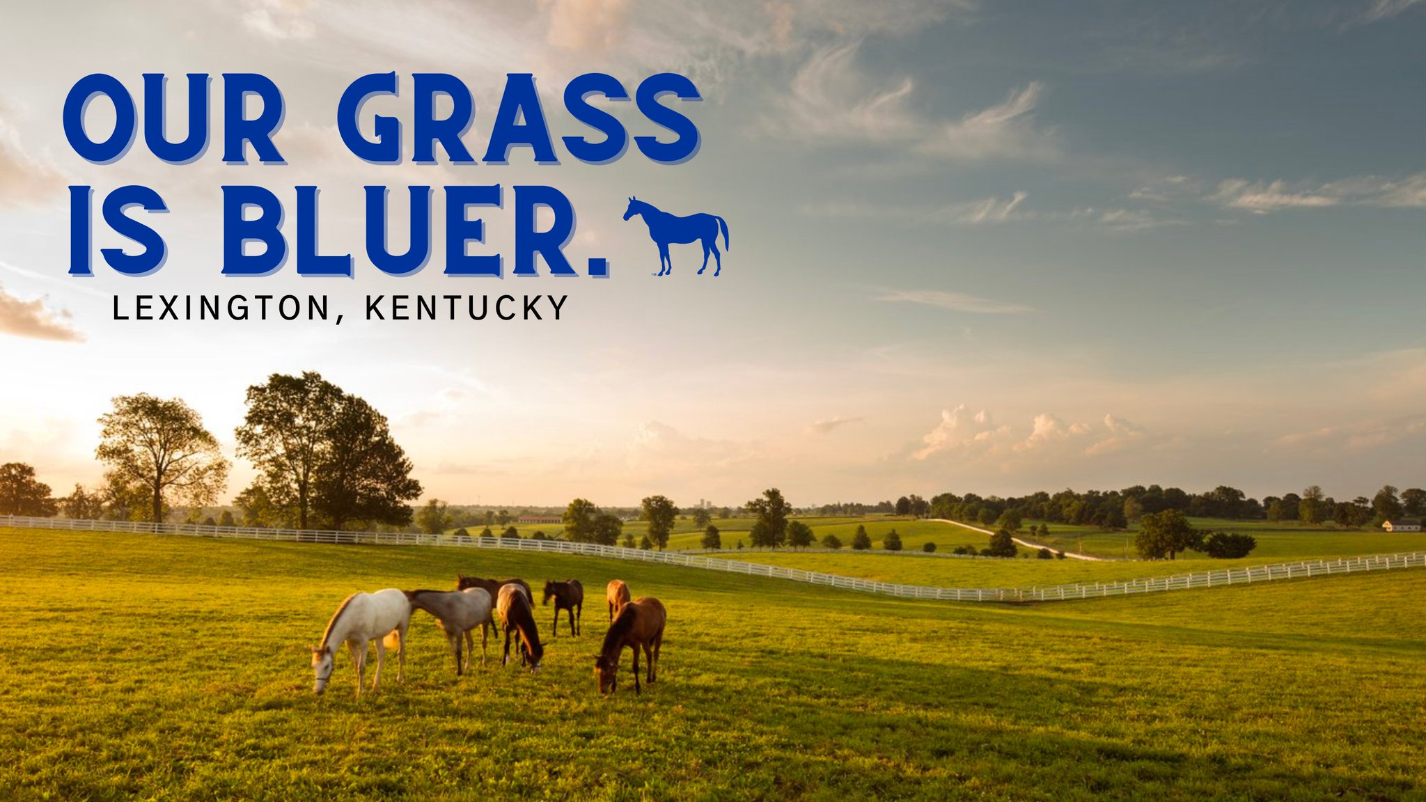 IBMA on Twitter: "@VisitLEX is a proud sponsor of this year’s IBMA ...