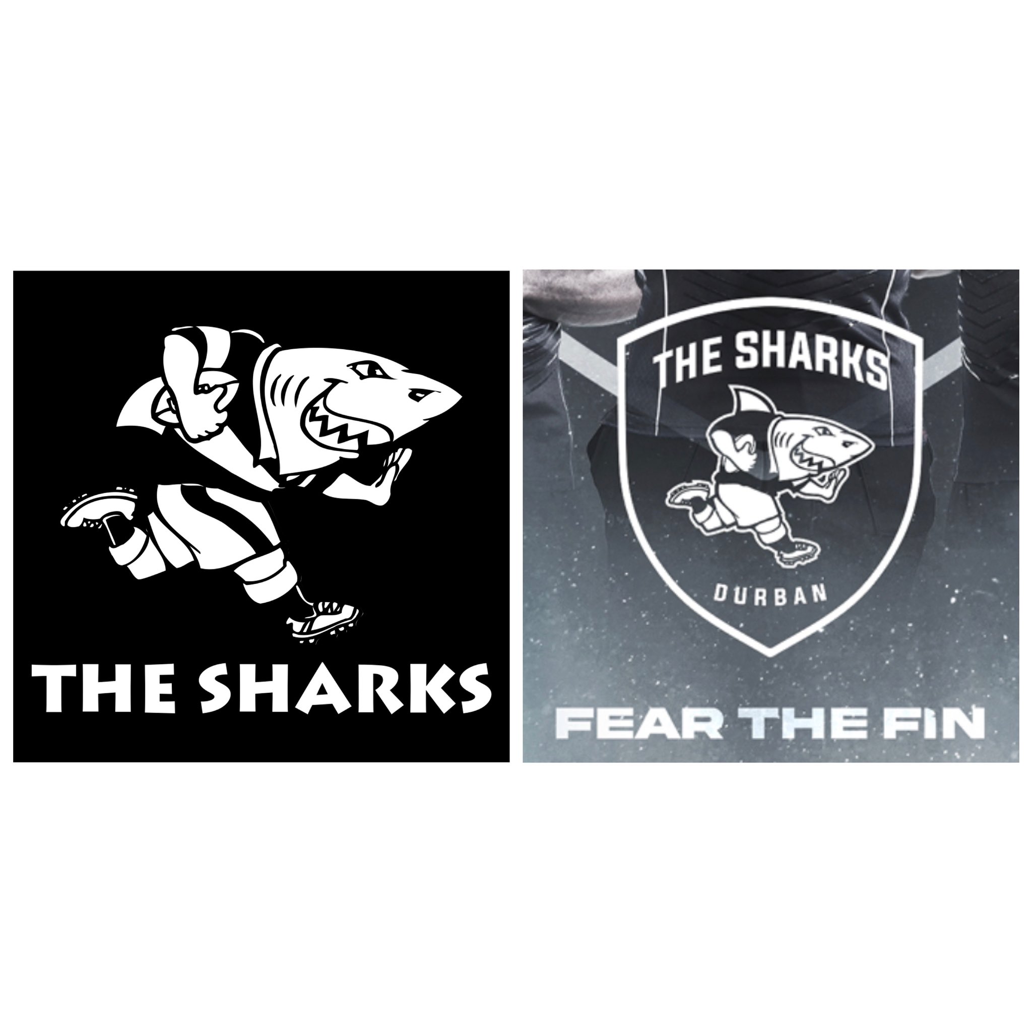 Sharks Rugby Logo Sharks Rugby Team | Sharks News, Players & Stats