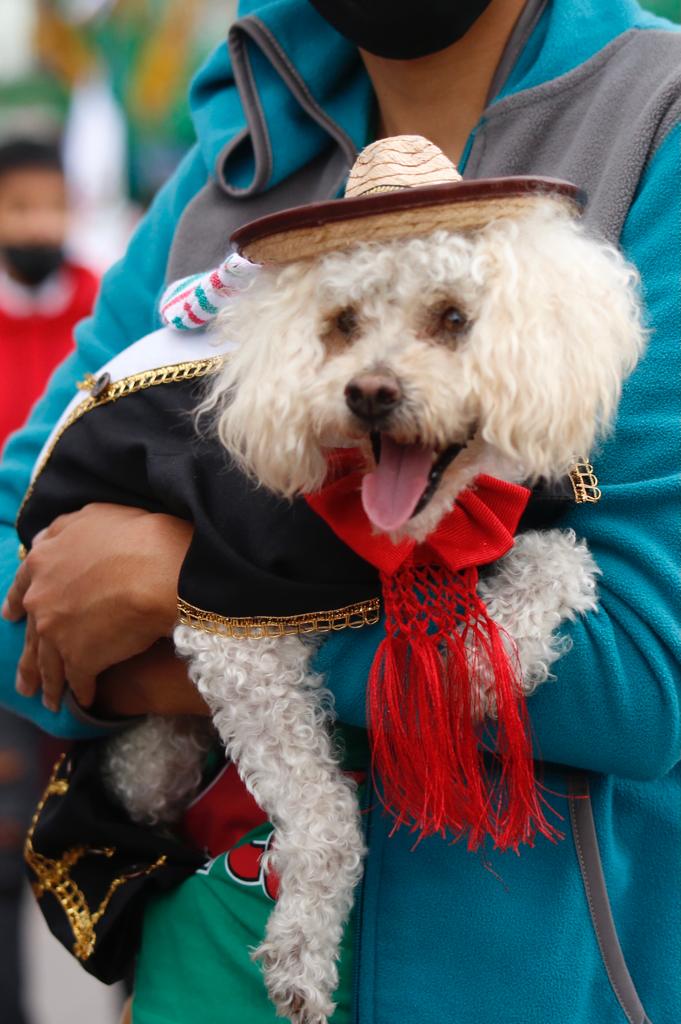 Fueron 140 mil personas las que se dieron cita ayer en el Zócalo como ...